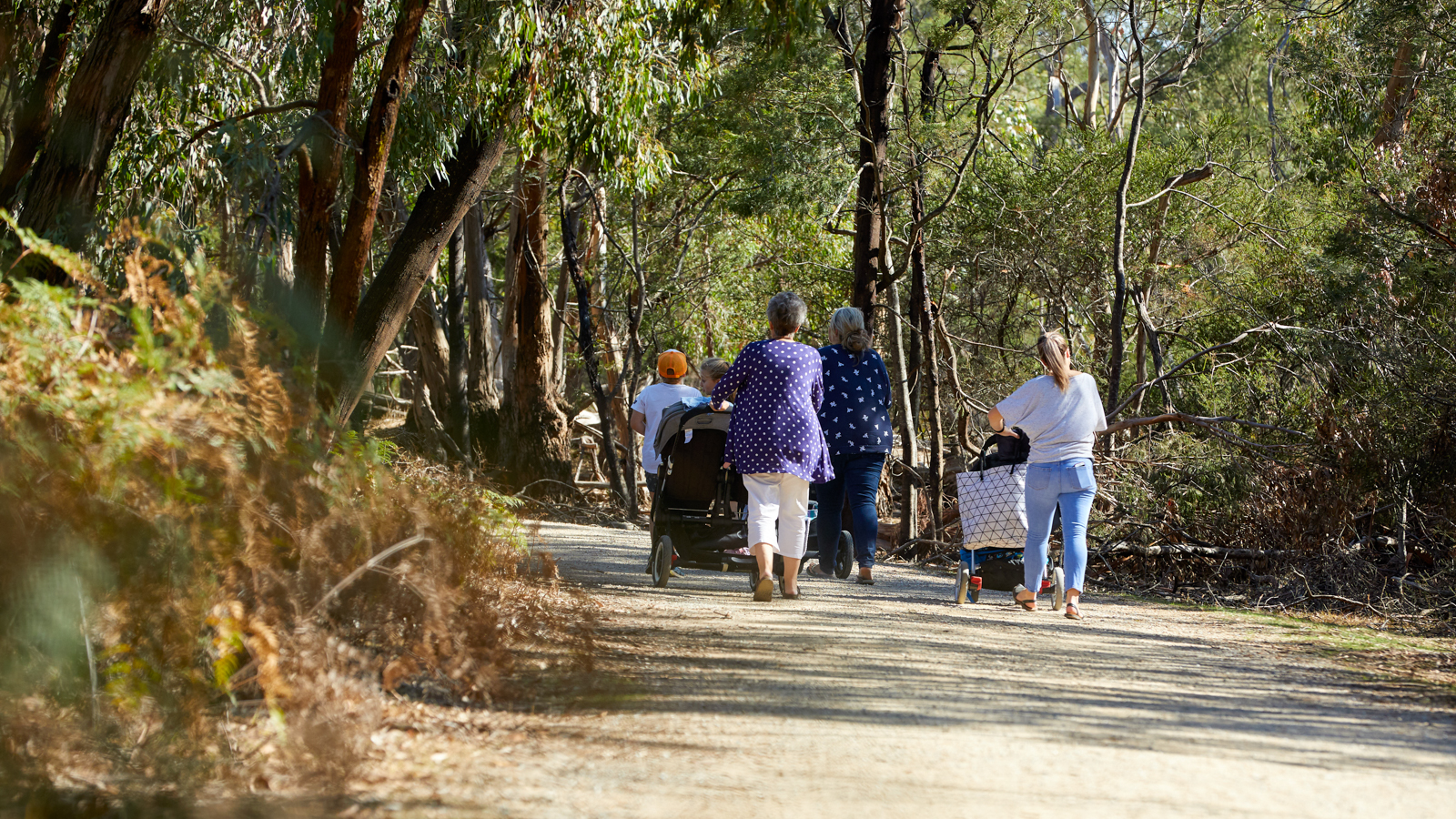 Bushland Picnic Areas | Royal Botanic Gardens Victoria