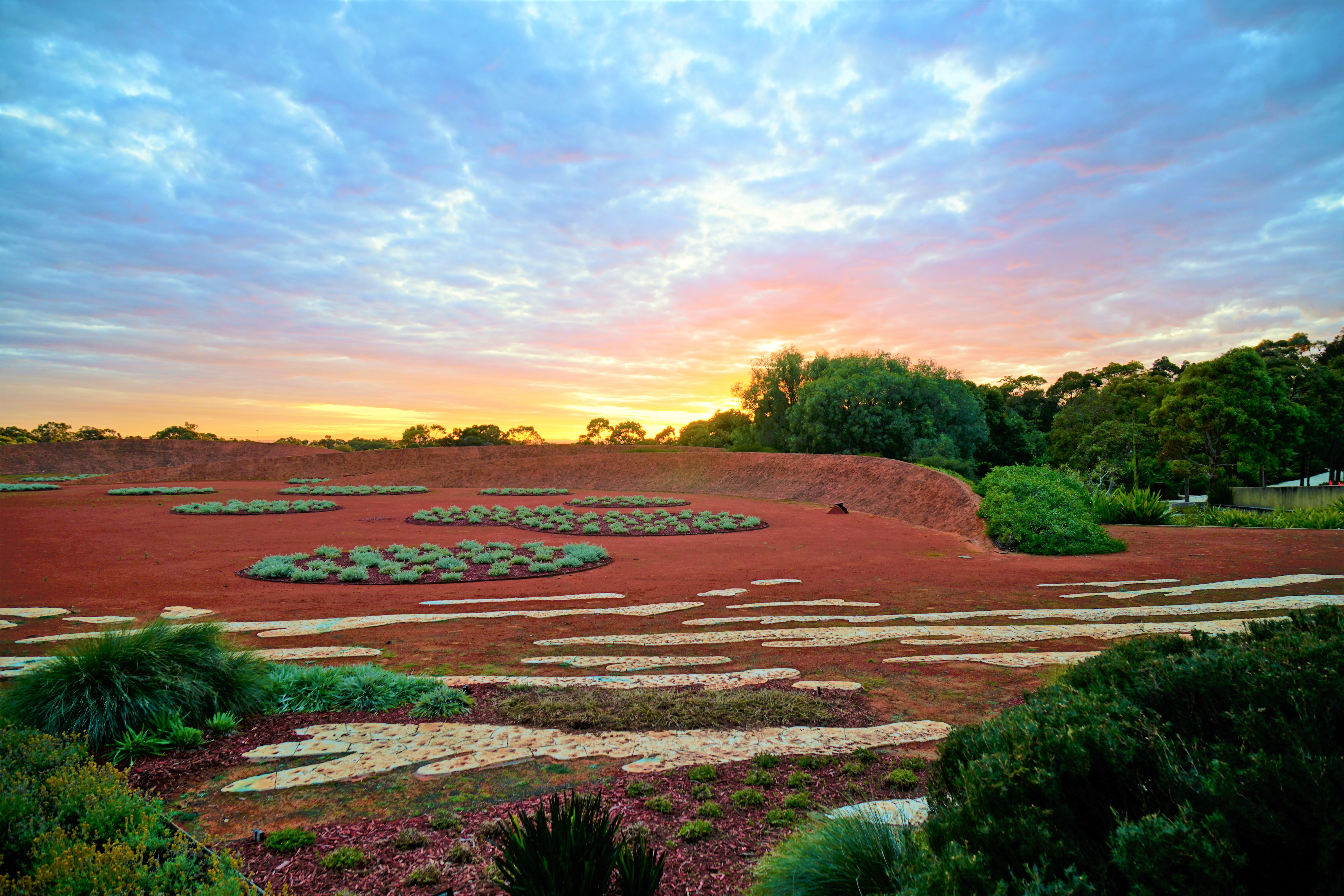 Cranbourne Living Collections | Royal Botanic Gardens Victoria