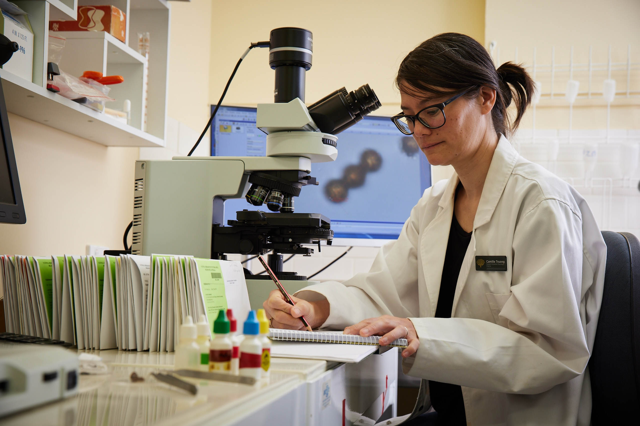 Fungi Identifications | Royal Botanic Gardens Victoria