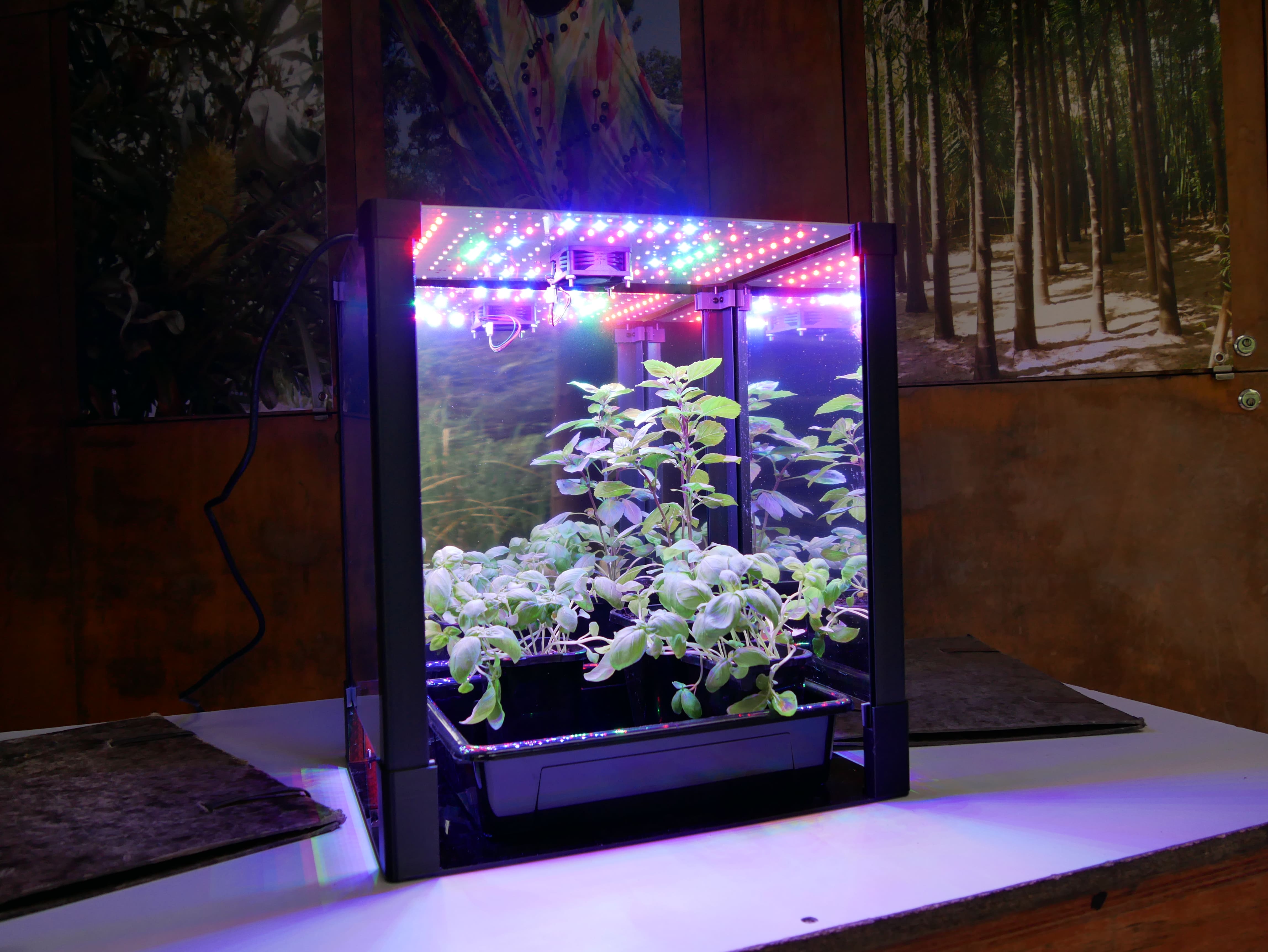 Growing Beyond Earth | Royal Botanic Gardens Victoria